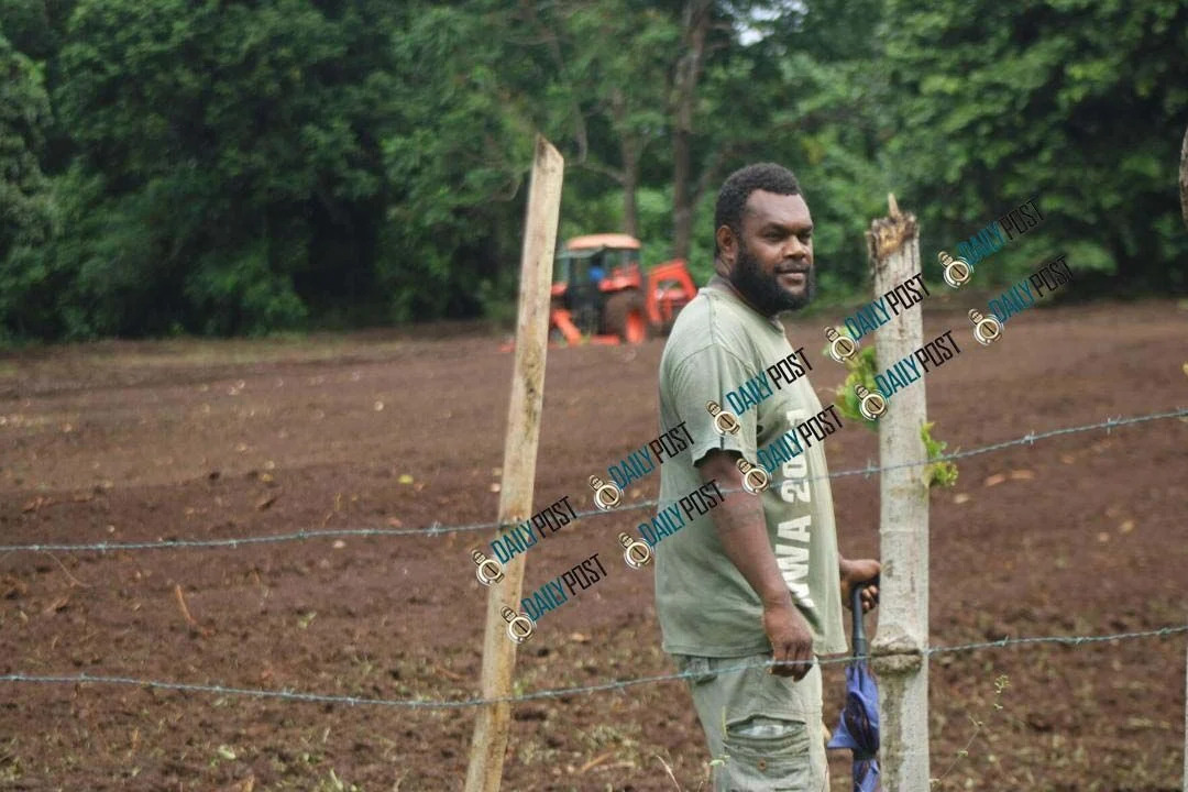 Vanuatu Business Review » Canal Fanafo farmers benefit from Cattle ...